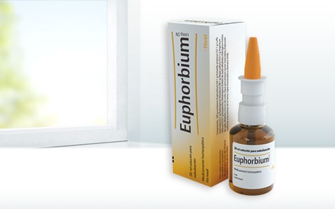 Euphorbium Compositum SN spray nasal | Olaiz