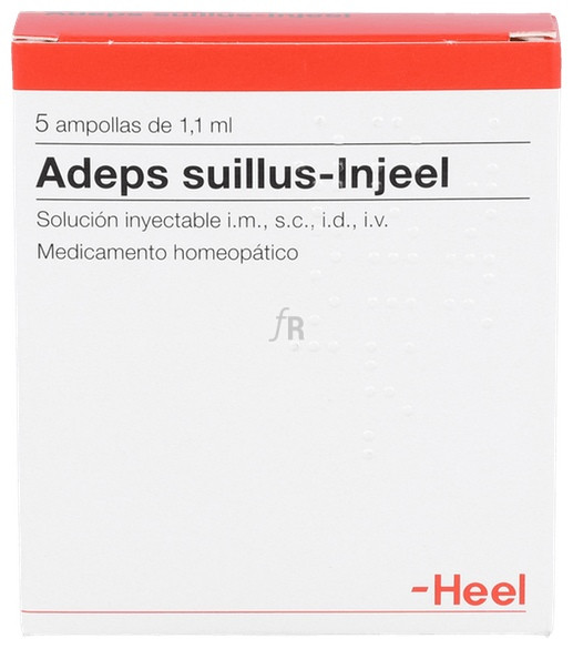 Adeps suillus-Injeel 5 ampollas 1,1ml | Olaiz