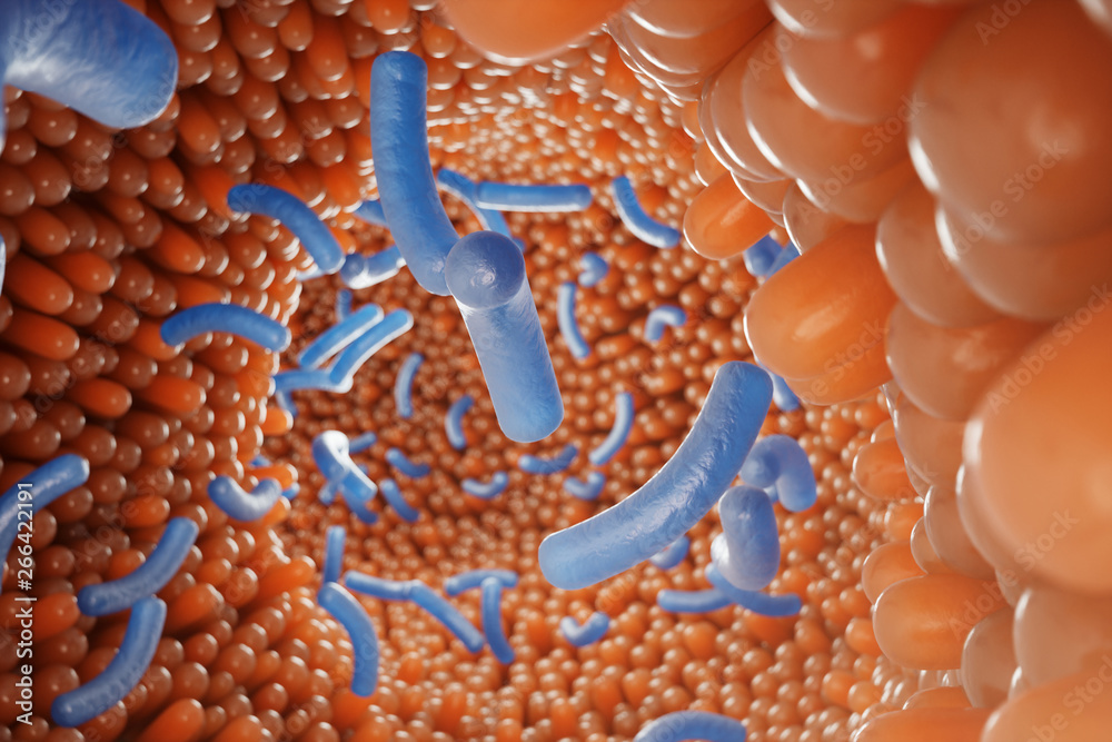 Suplementos y vitaminas para regenerar la mucosa intestinal | Farmacia